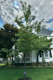 Student Memorials | Student Life & Engagement